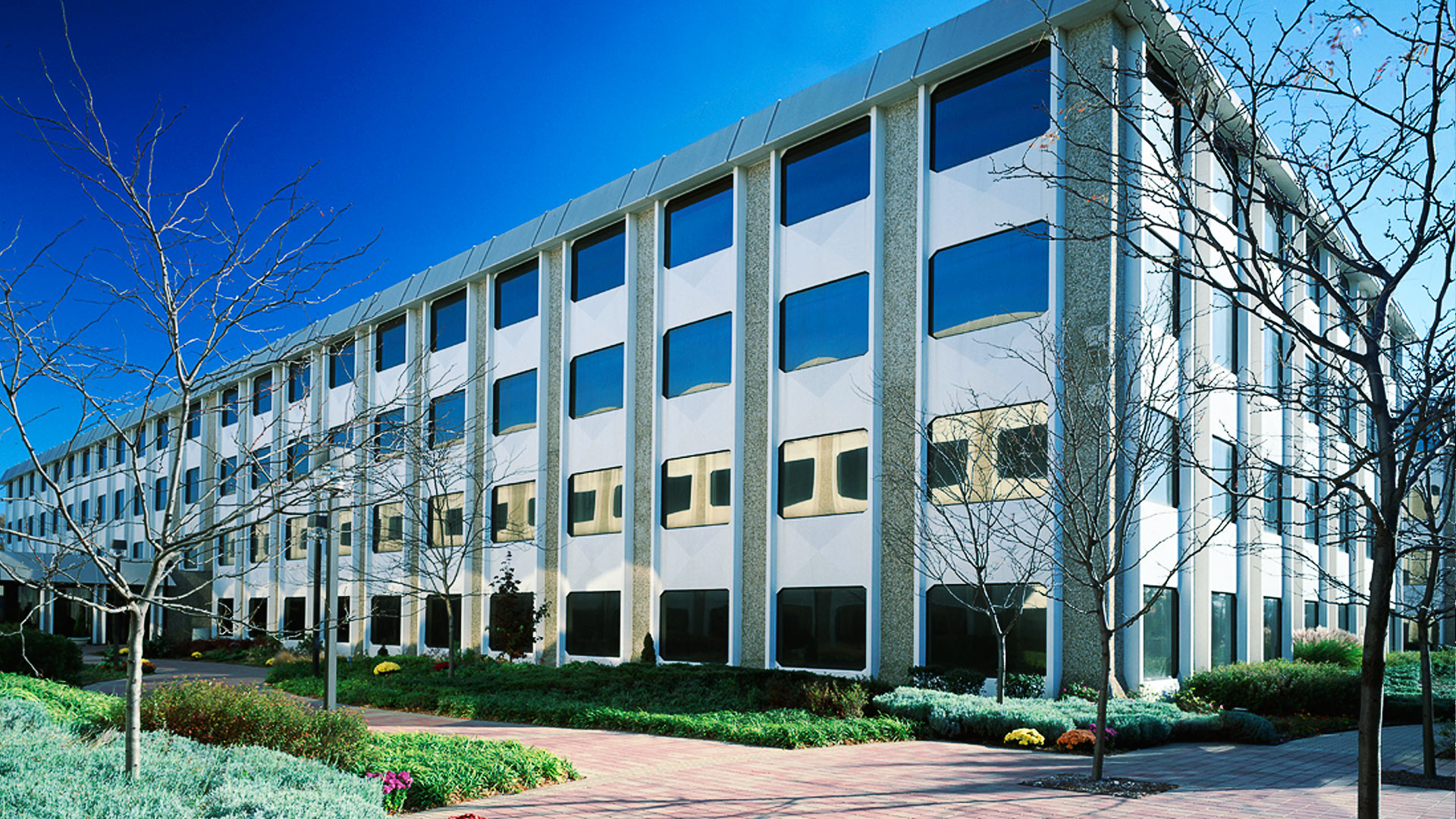 The We're Group | 100 Jericho Quadrangle